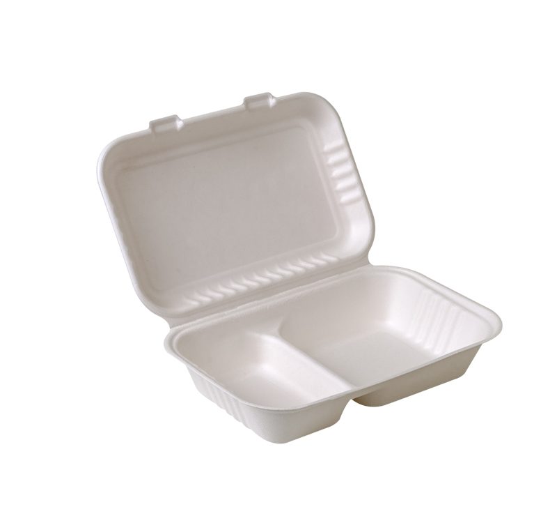 Sugarcane Containers – Eco-Packaging